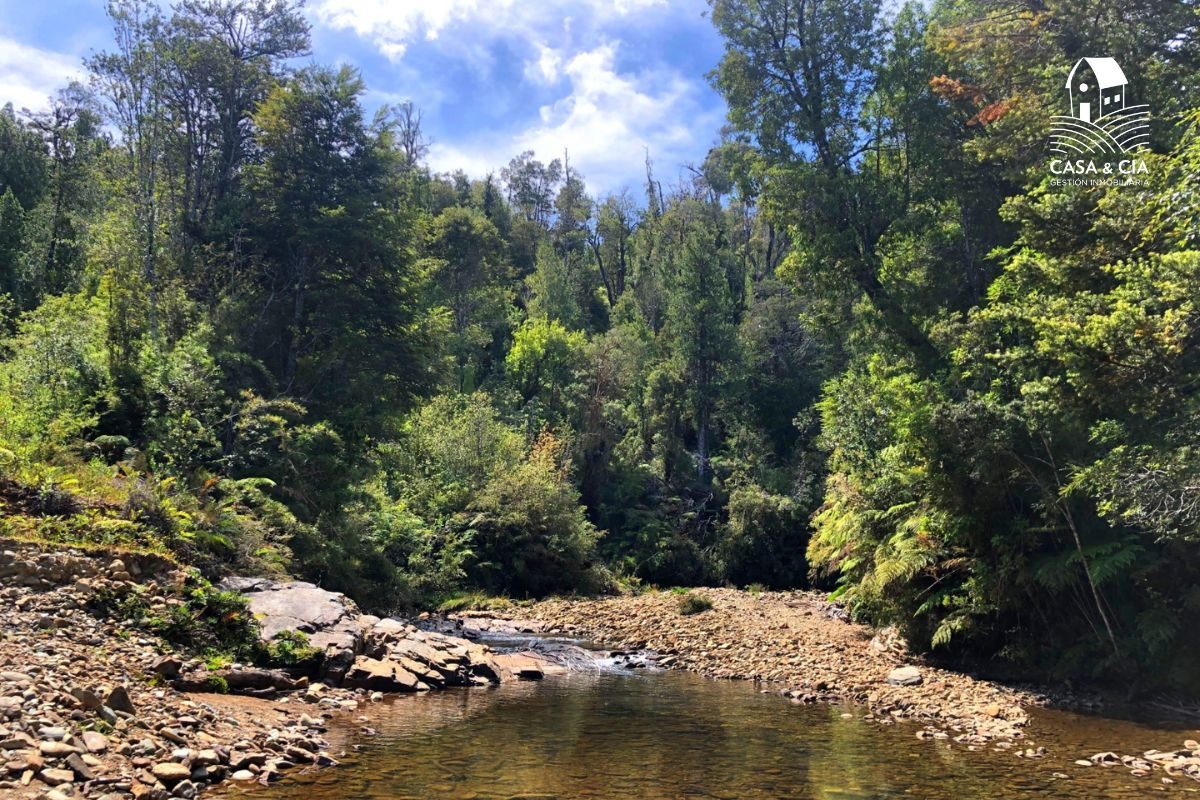 COMPRAR - Casa & Cia